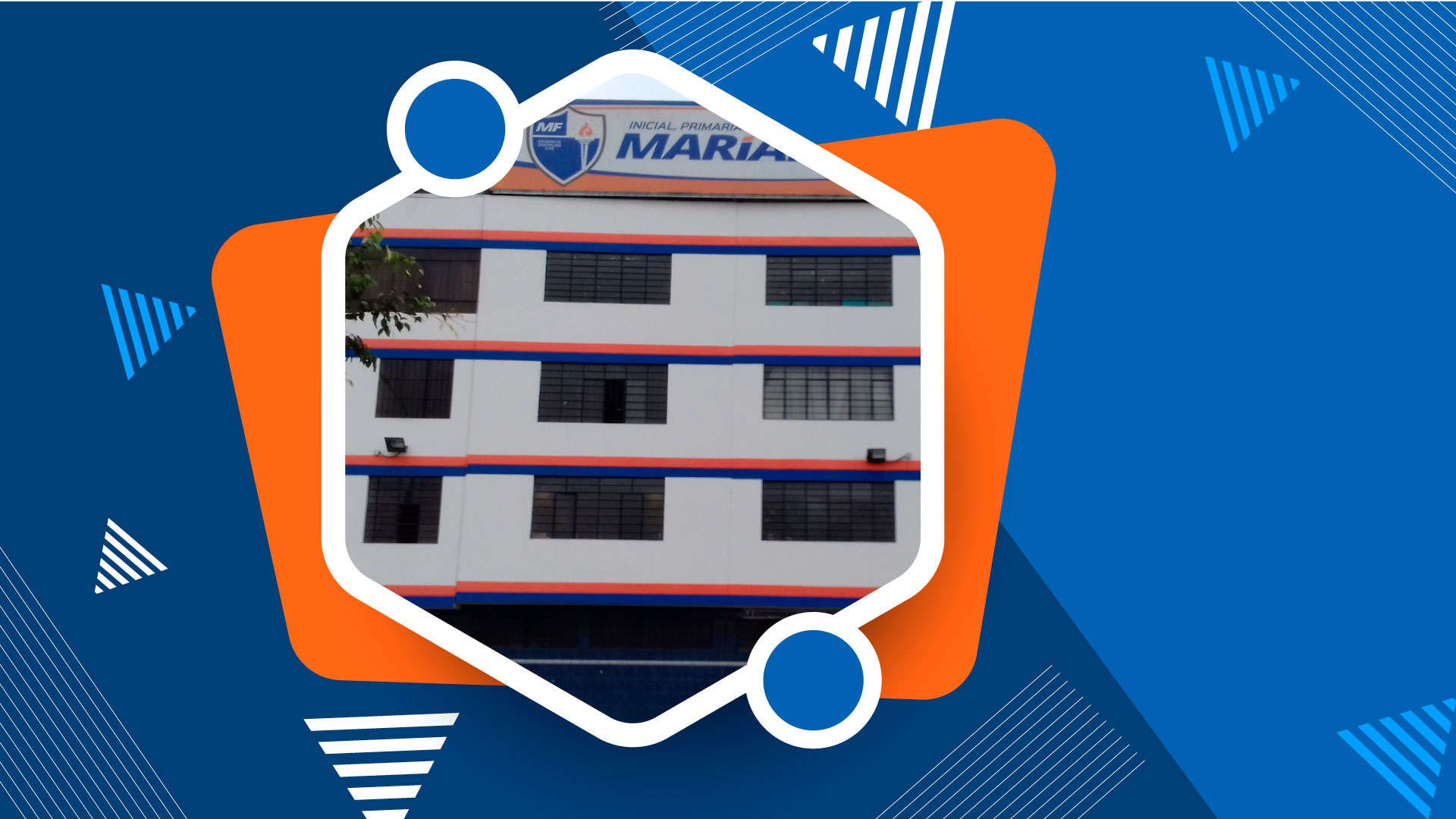 CUBICOL - EL NUEVO MARIANNE FROSTIG